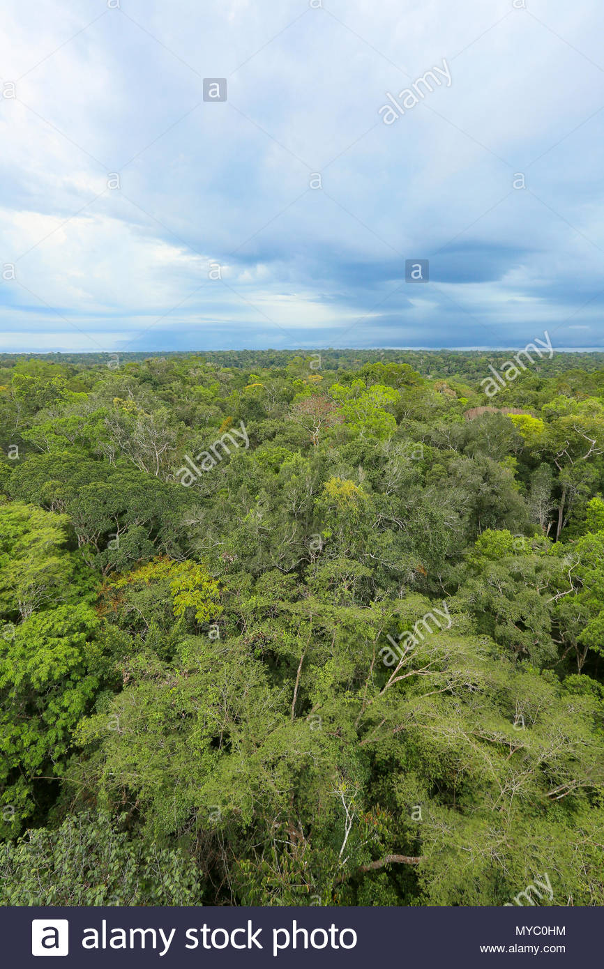 Manaus High Resolution Stock Photography and Images - Alamy