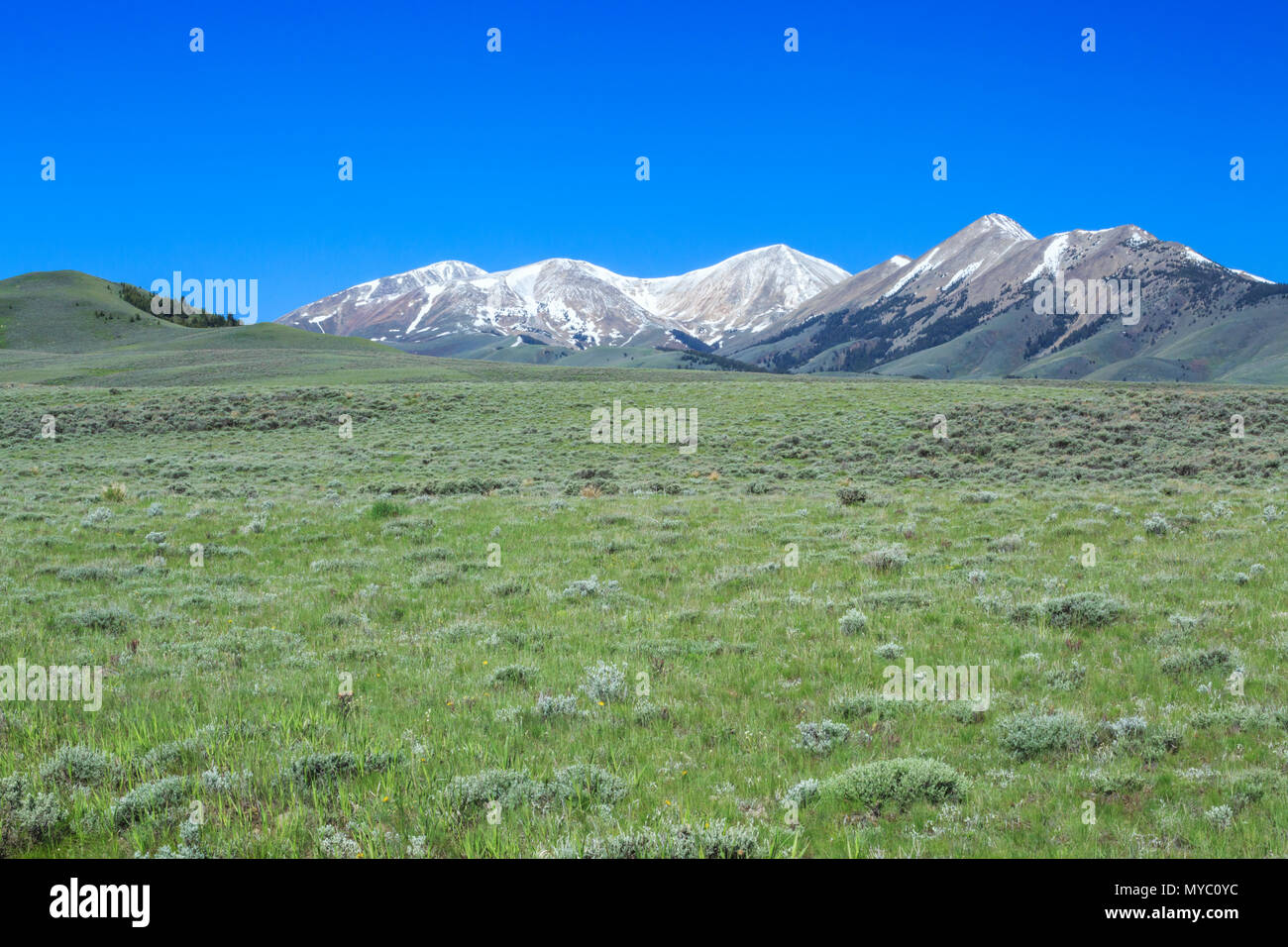 vast sagebrush grassland below lima peaks near lima, montana Stock ...