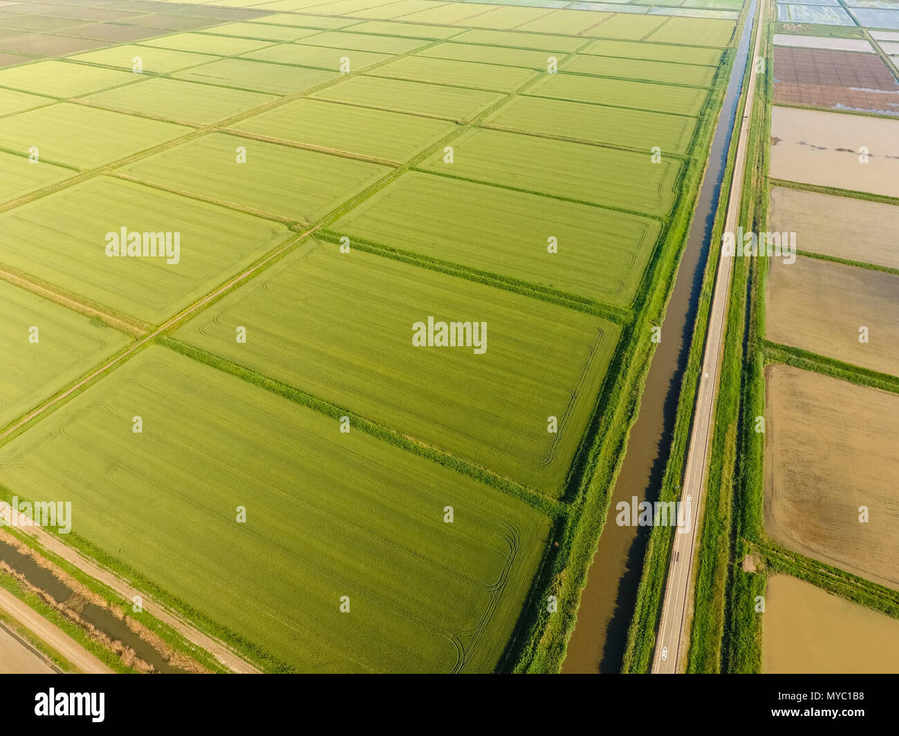 The rice fields are flooded with water. Flooded rice paddies. Agronomic ...