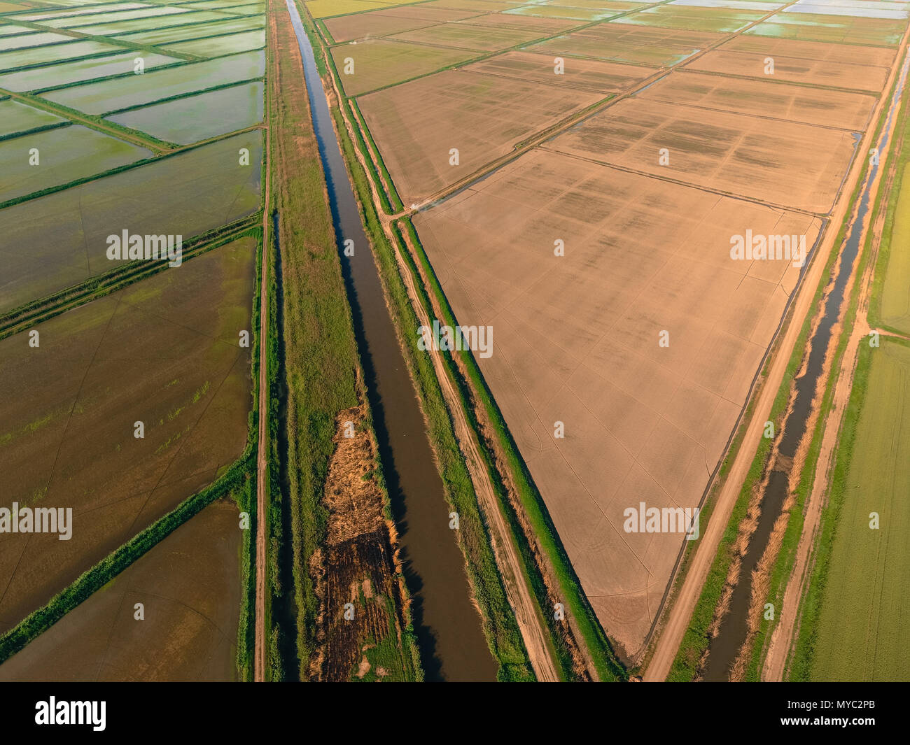 The rice fields are flooded with water. Flooded rice paddies. Agronomic ...