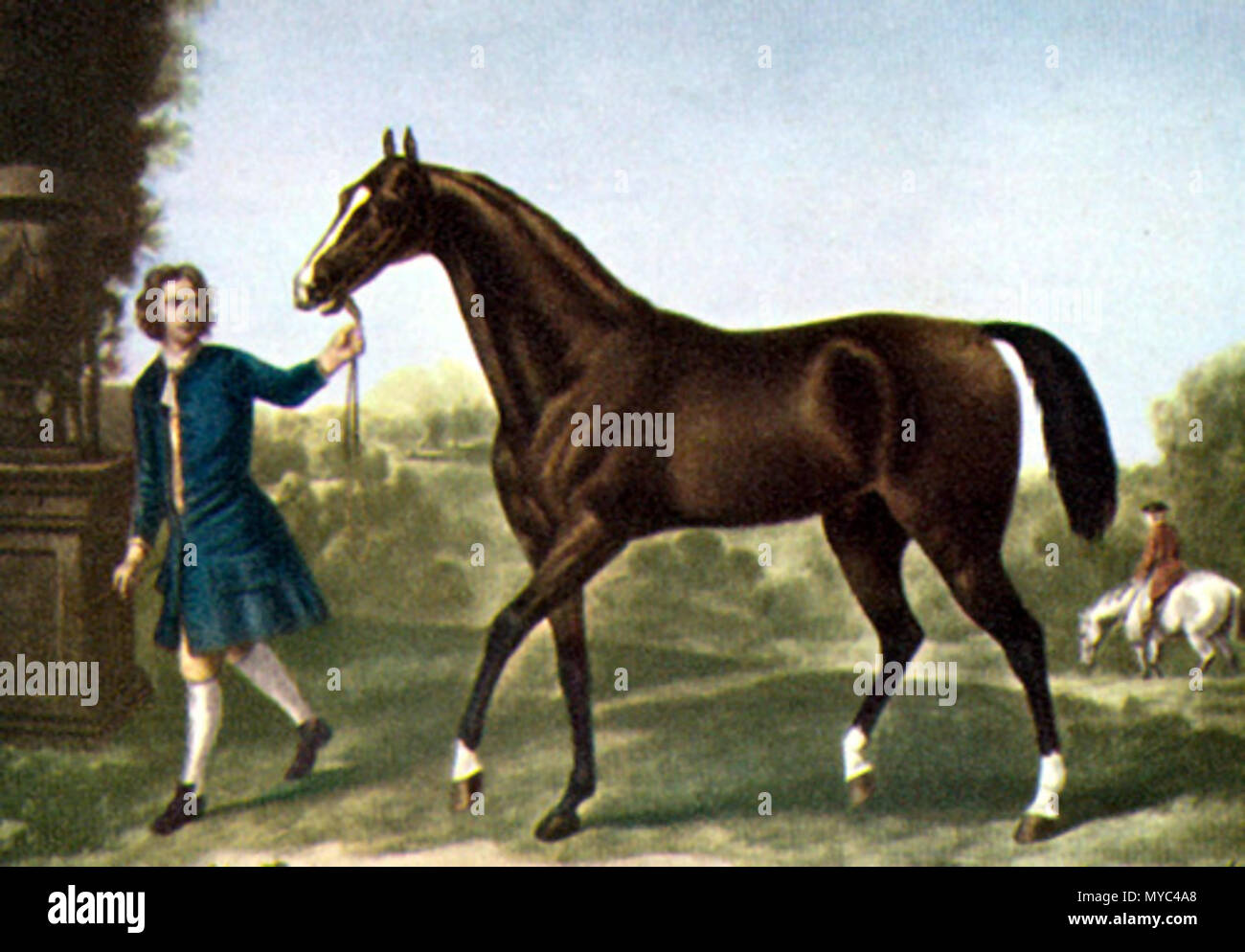 . Darley Arabian . Deutsch: Arabischer Vollbluthengst und Mitbegründer ...