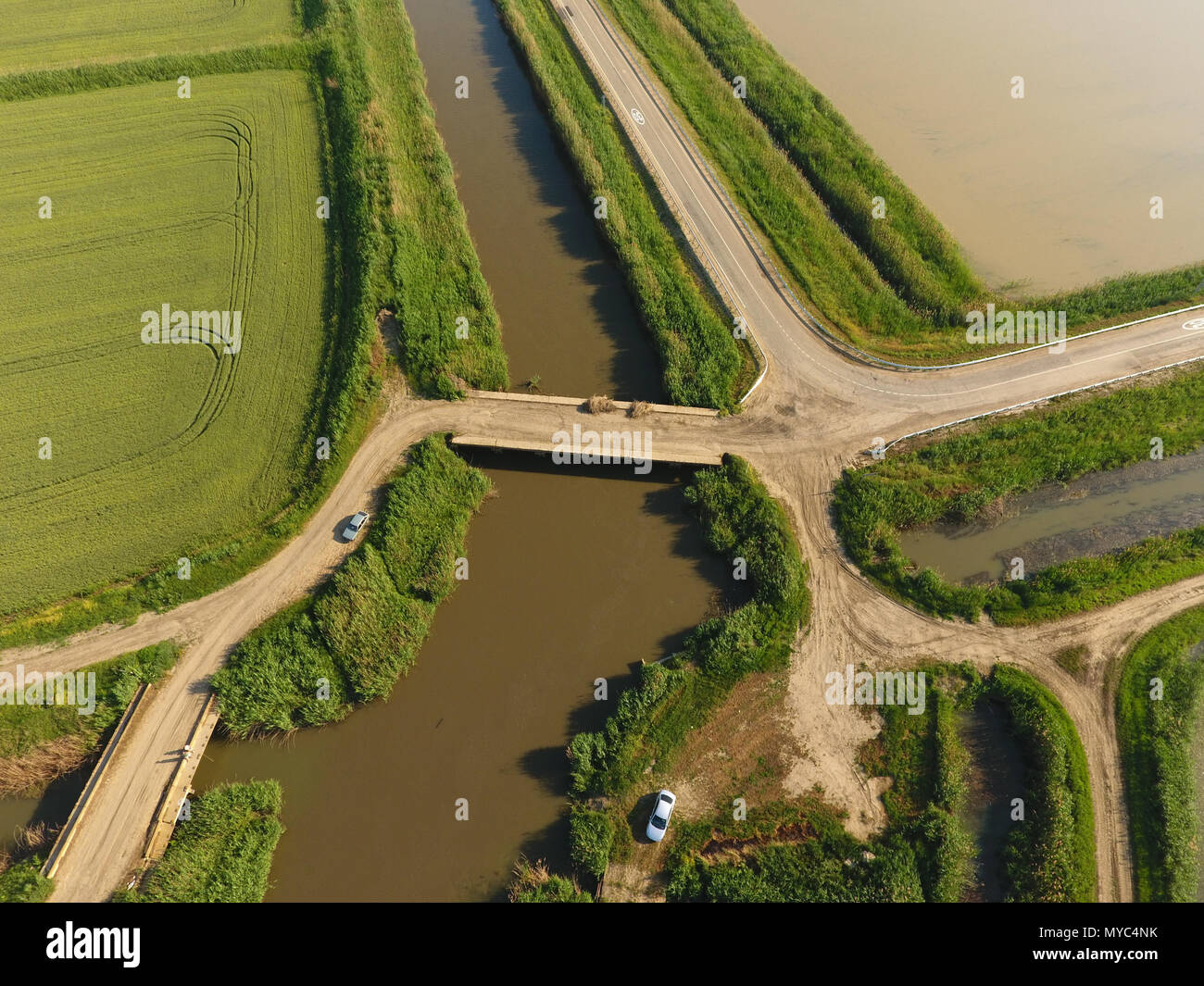 The rice fields are flooded with water. Flooded rice paddies. Agronomic ...
