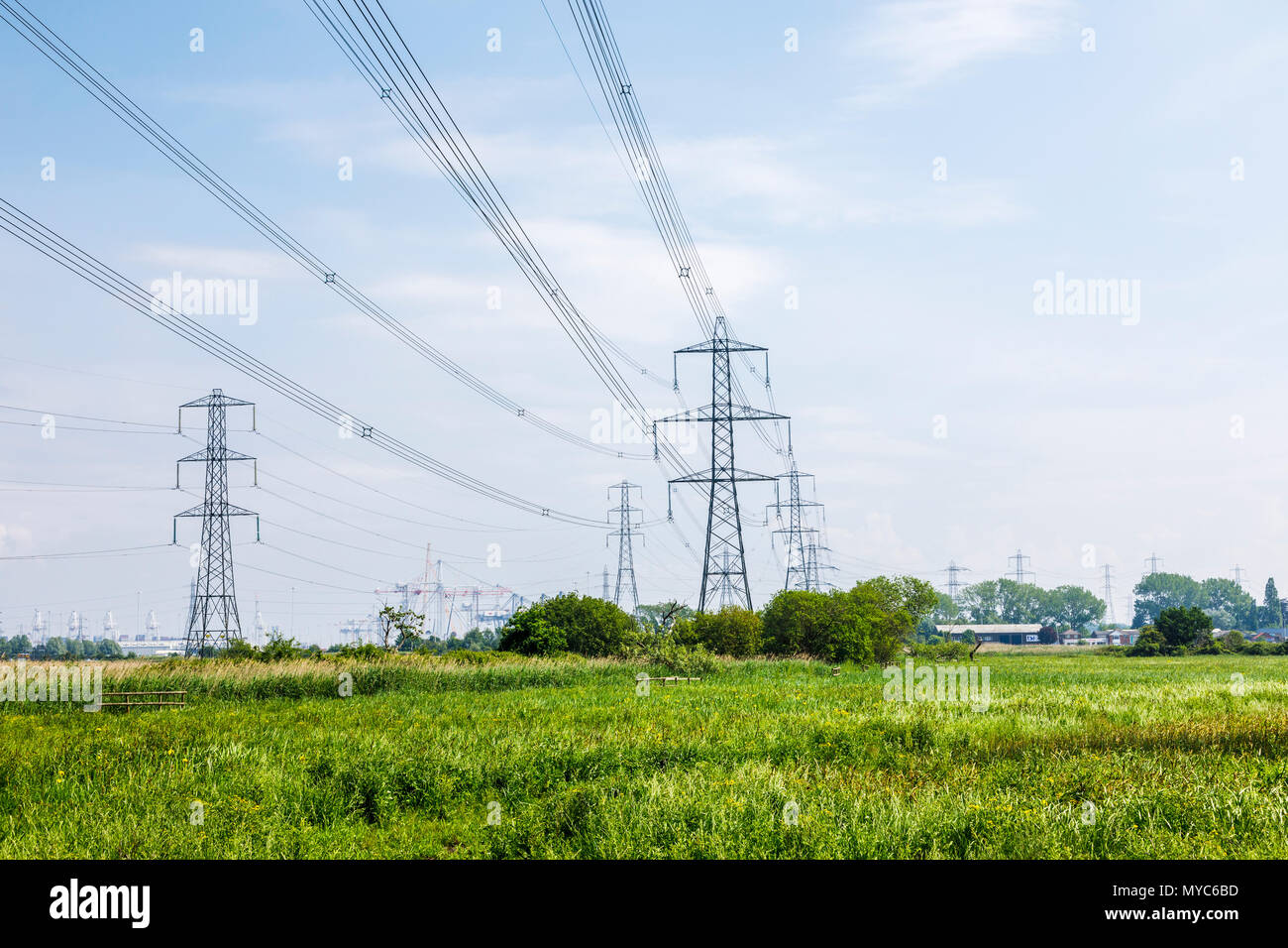 Electricity pylons and overhead power cables in reed beds, Lower Test ...