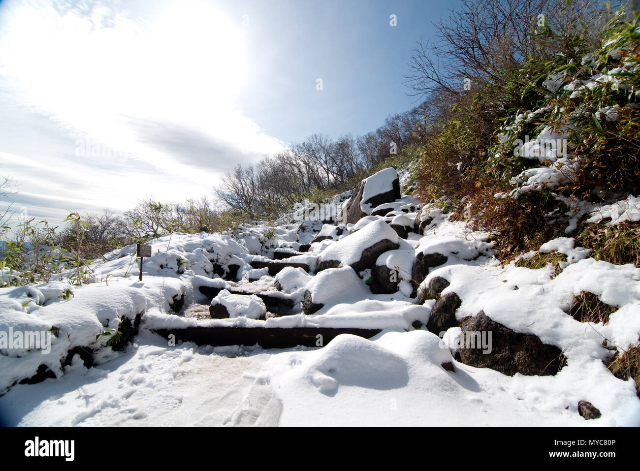 early winter and snow in daisetsuzan, japan national park Stock Photo ...