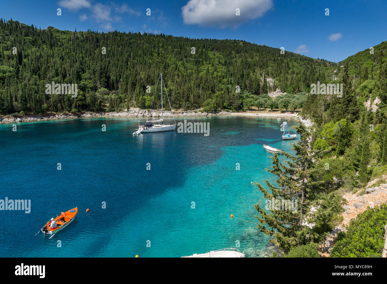 Green Forest around Foki Fiskardo Beach, Kefalonia, Ionian islands ...