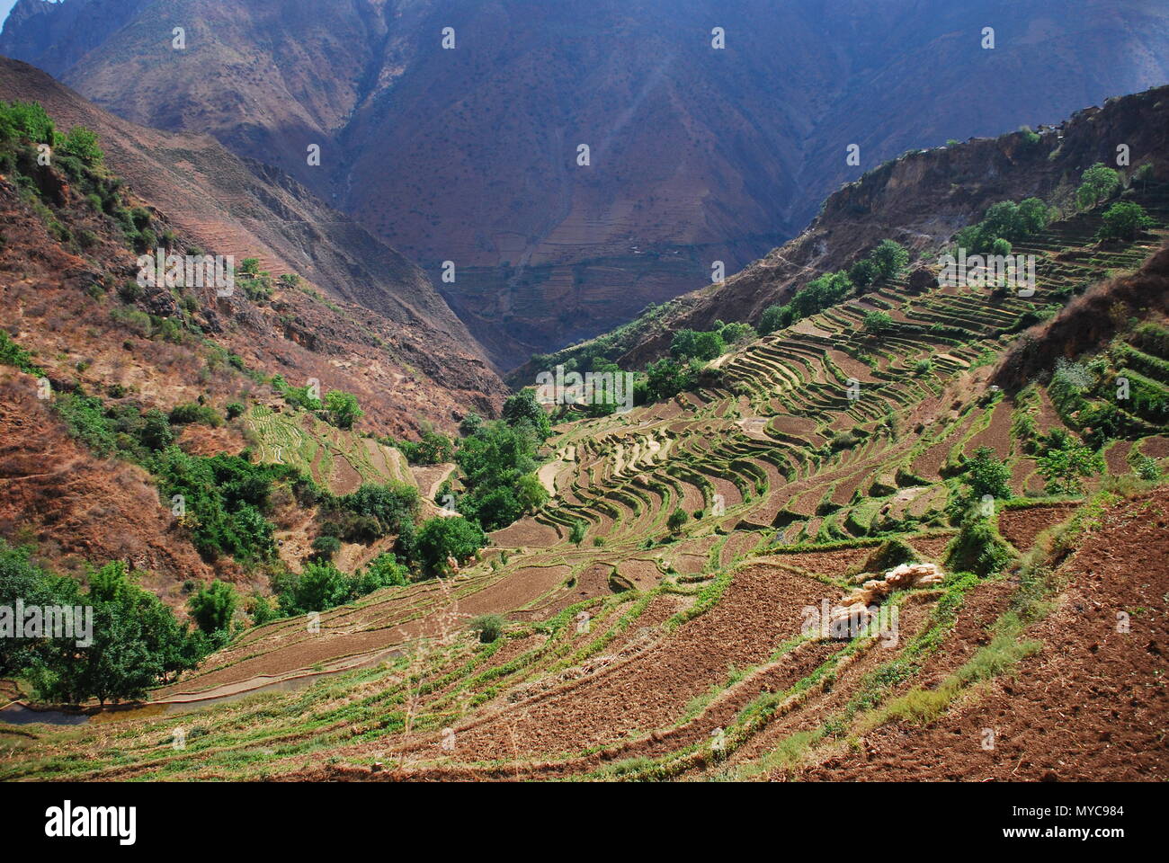 Terraced fields view from mountain top and aerial camera Stock Photo ...