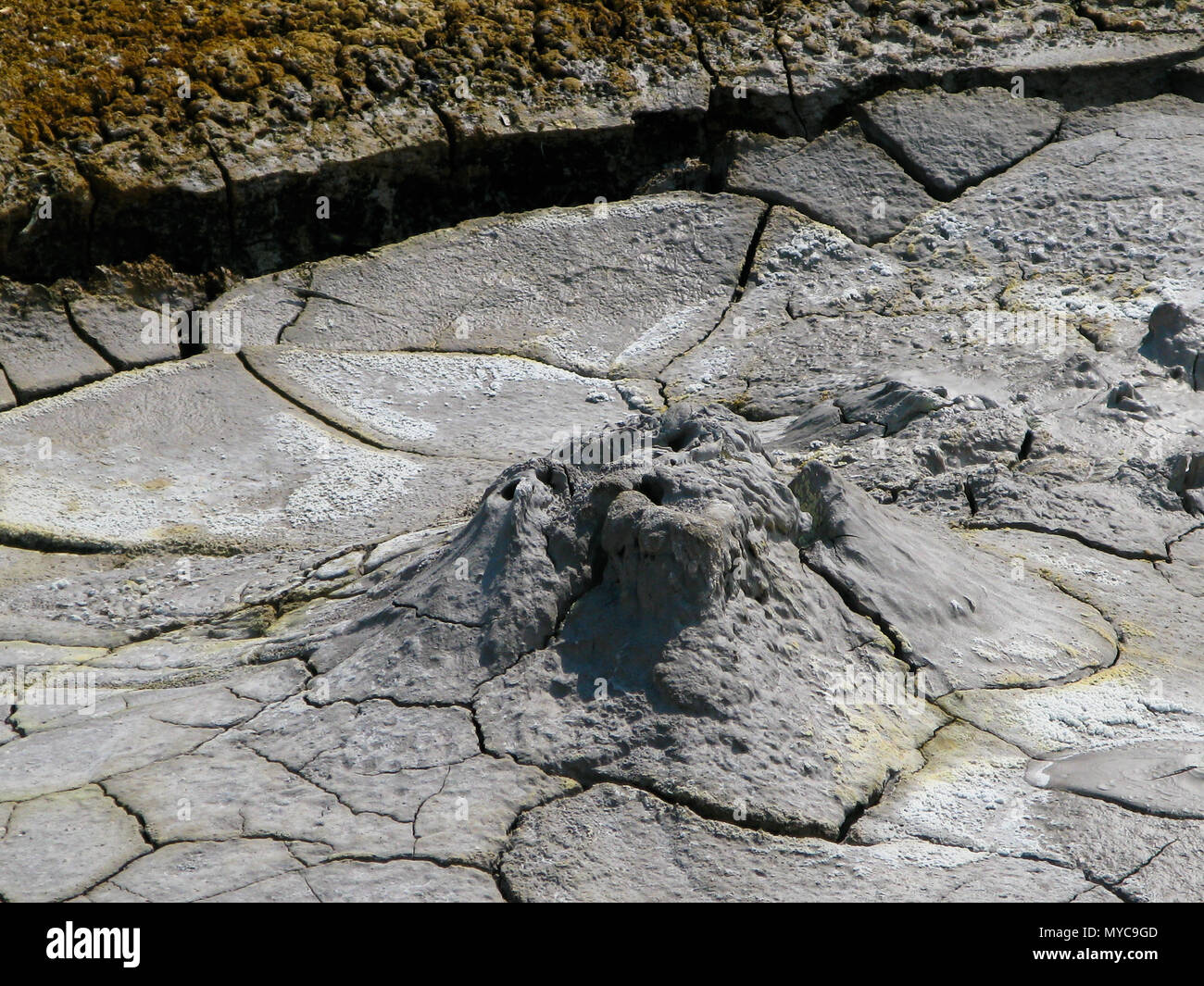 view to mud volcanos inside Caldera of Uzon Volcano at Kamchatka ...