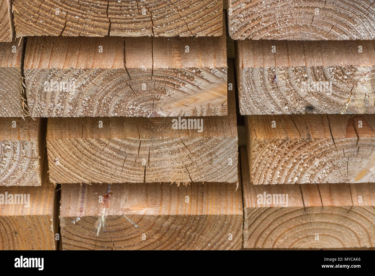 Timber industry metaphor hi-res stock photography and images - Alamy