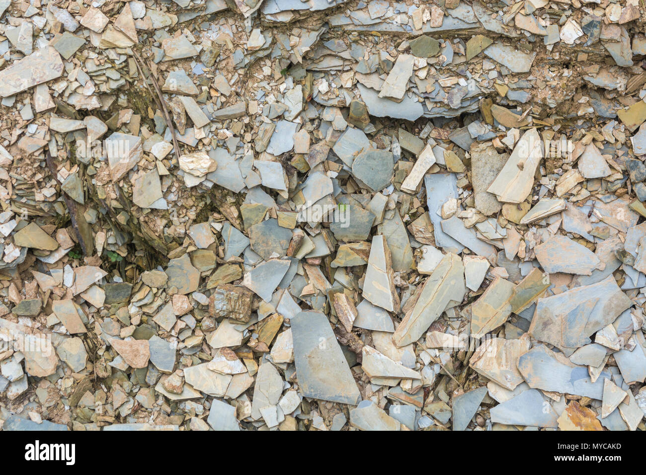 Close-up of shattered slate-type stone in a field. Concept ...