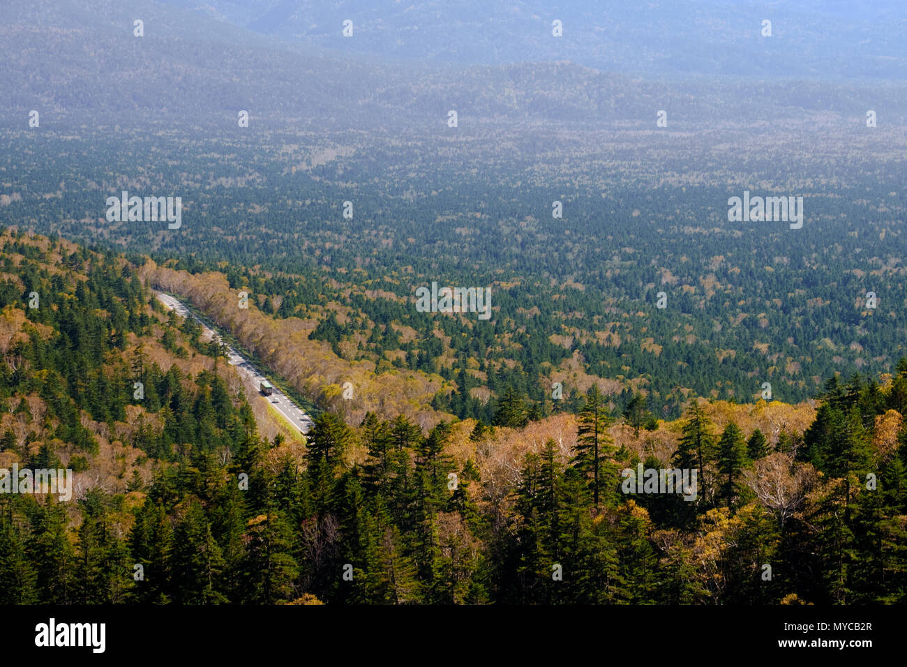 treescape, sea of tree in hokkaido mountain Stock Photo - Alamy