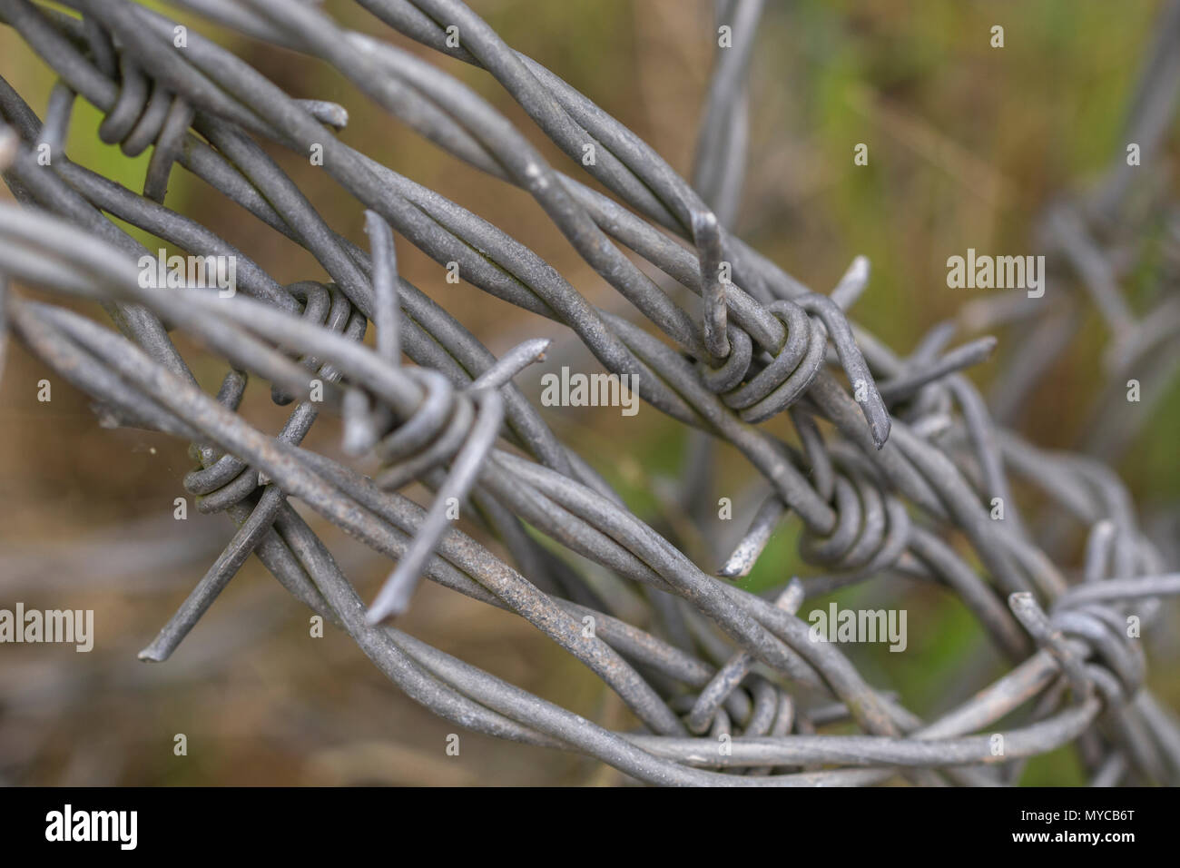 Close-up of barbed wire bundle in a field. Abstract metal texture Stock ...