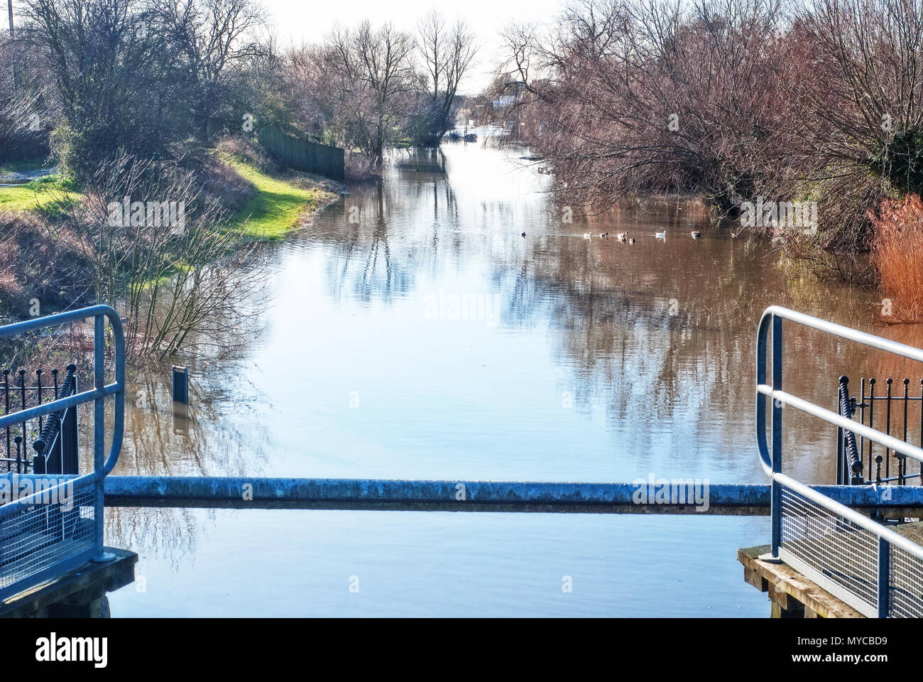 Brede hi-res stock photography and images - Alamy