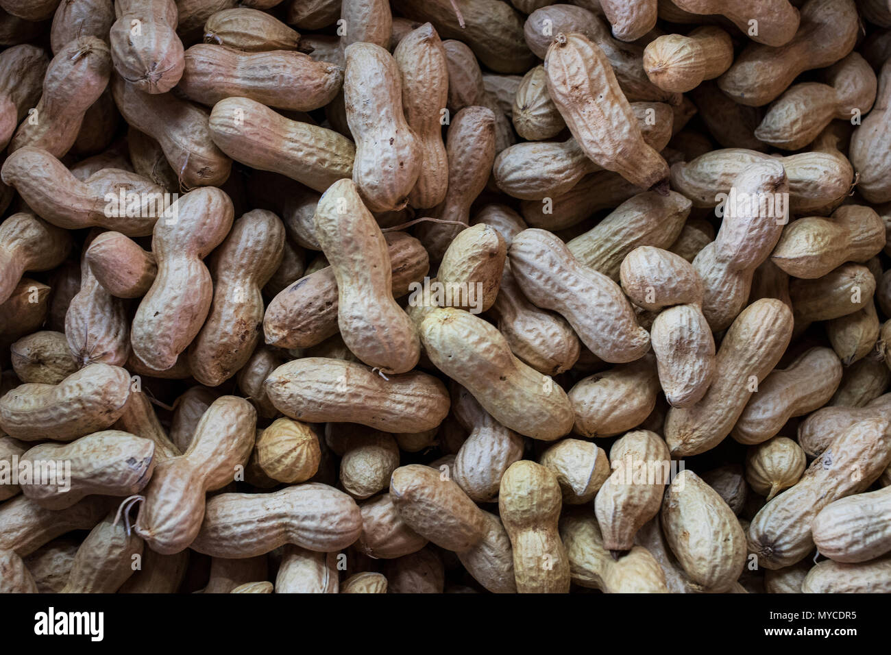 Peanuts, food background raw peanuts with peel tender beige color Stock ...