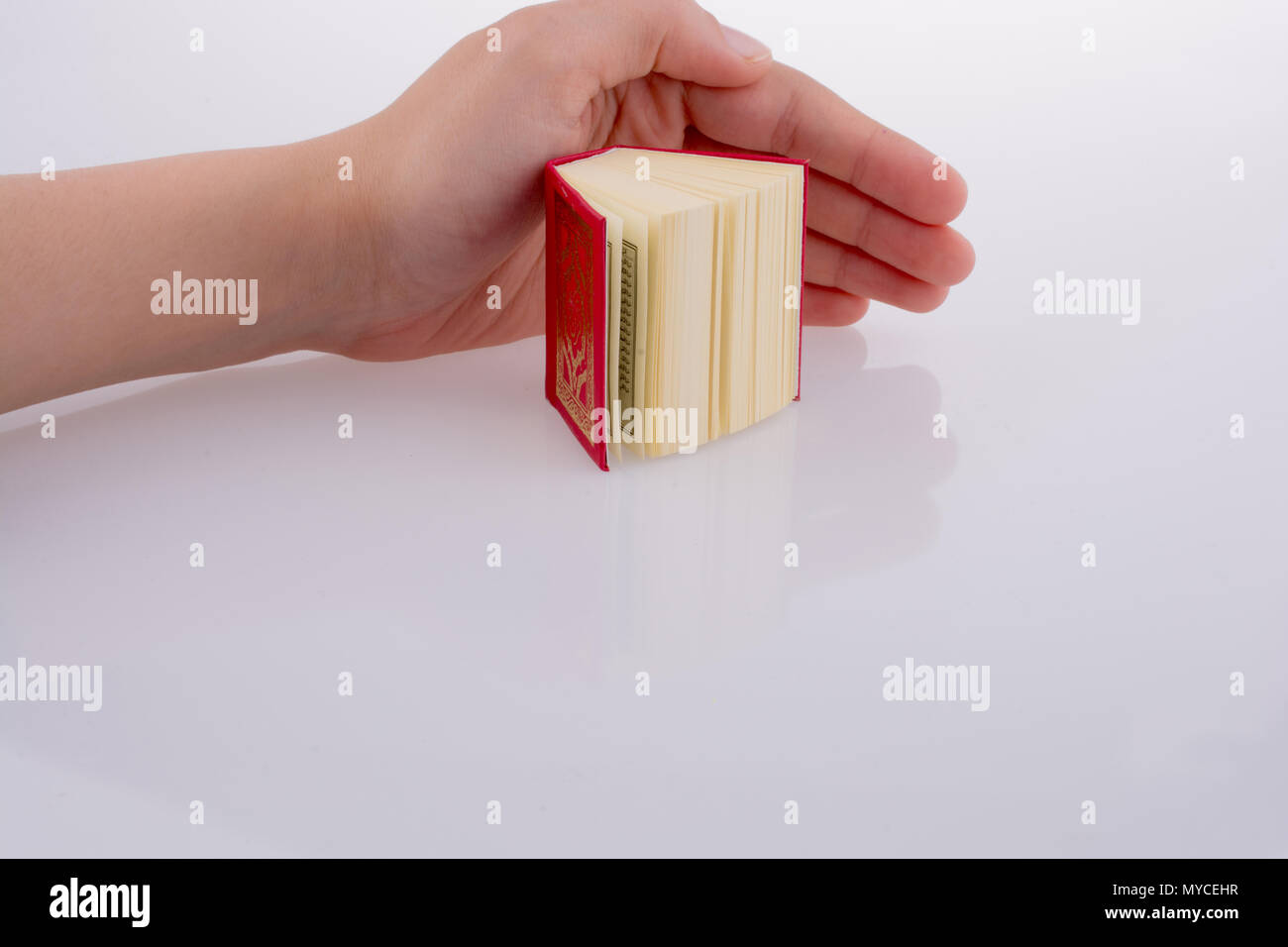 Hand holding The Holy Quran on a white background Stock Photo - Alamy