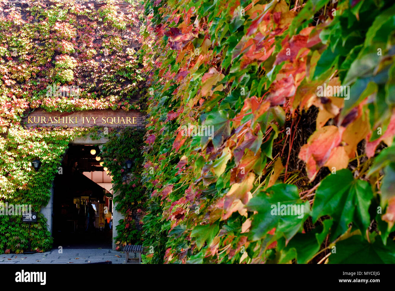 Kurashiki ivy square in Japan okayama prefecture Stock Photo - Alamy
