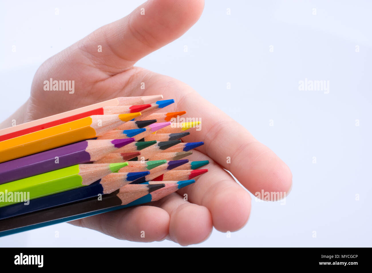 Hand holdin color pencils on a white background Stock Photo - Alamy