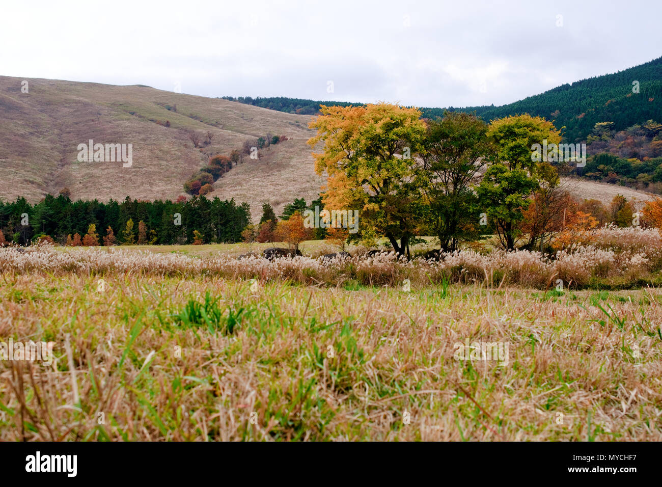 Yufuin in autumn hi-res stock photography and images - Alamy