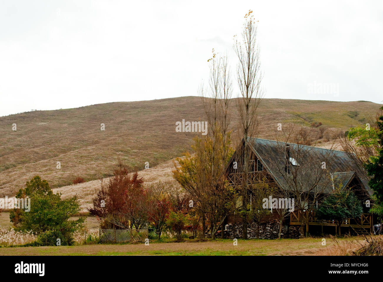 Ranch in japan yufuin, Beppu-shi, Higashiyama in autumn, red leaves ...