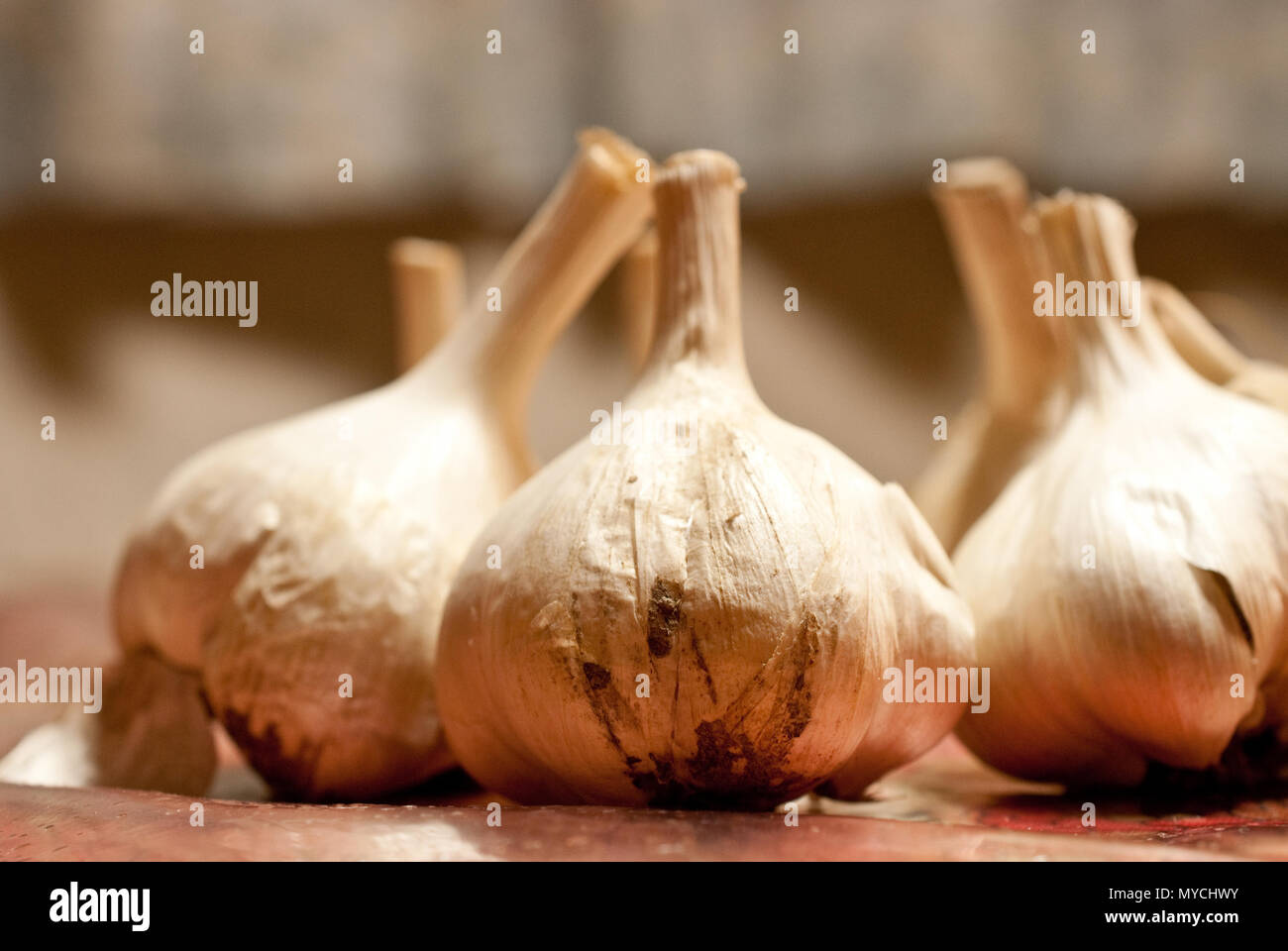 Hardneck Garlic from an organic farm in japan aomori Stock Photo - Alamy