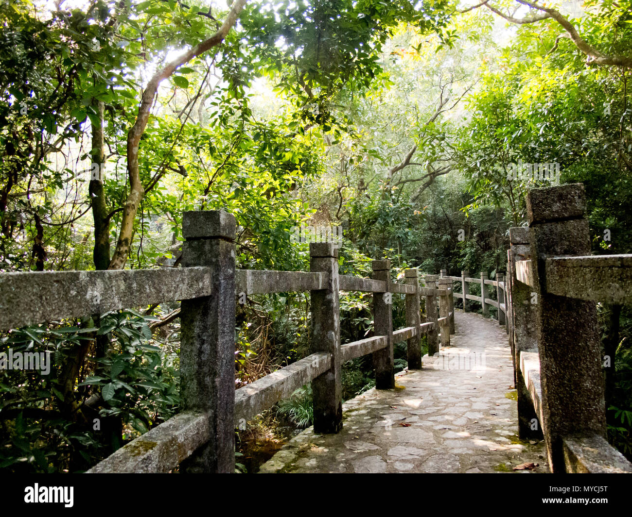 Concrete walking path leading hi-res stock photography and images - Alamy