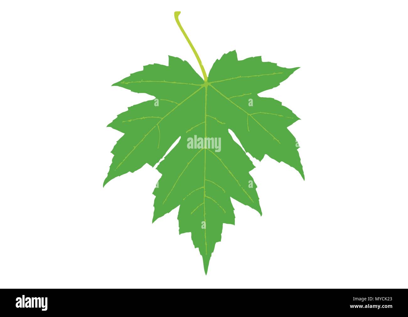 vector design of leaf Stock Vector Image & Art - Alamy