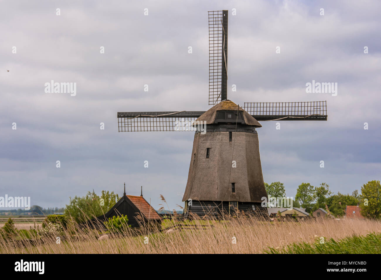 landscape with windmill and barn in the dutch countryside. Oterleek ...