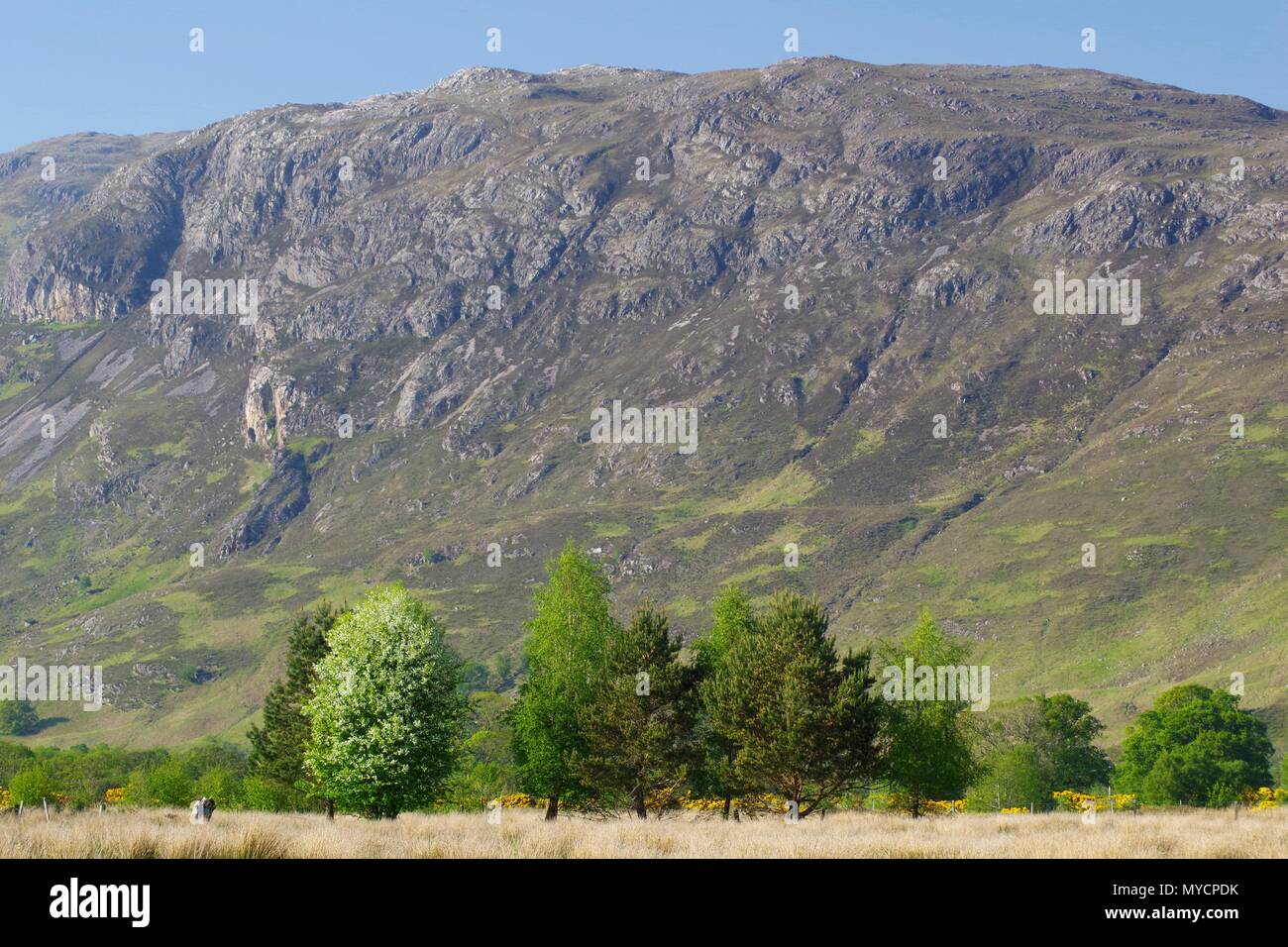 Mountain Ridge of Beinn a'Mhuinidh, Basal Quartzite Geology beyond a ...