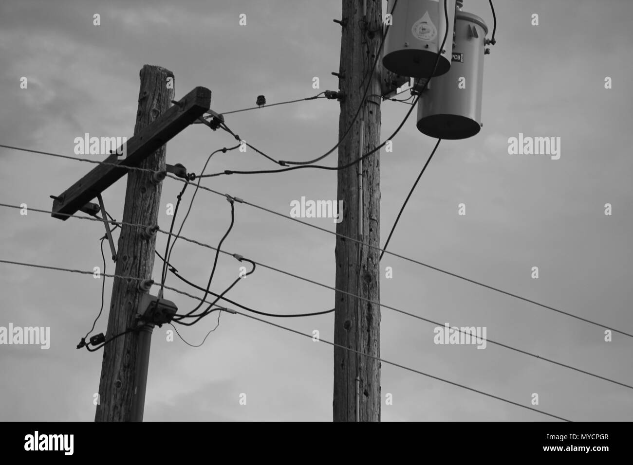Towering Black and White Stock Photos & Images - Alamy
