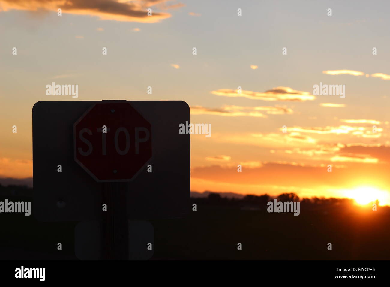 Stop sign stands hi-res stock photography and images - Alamy