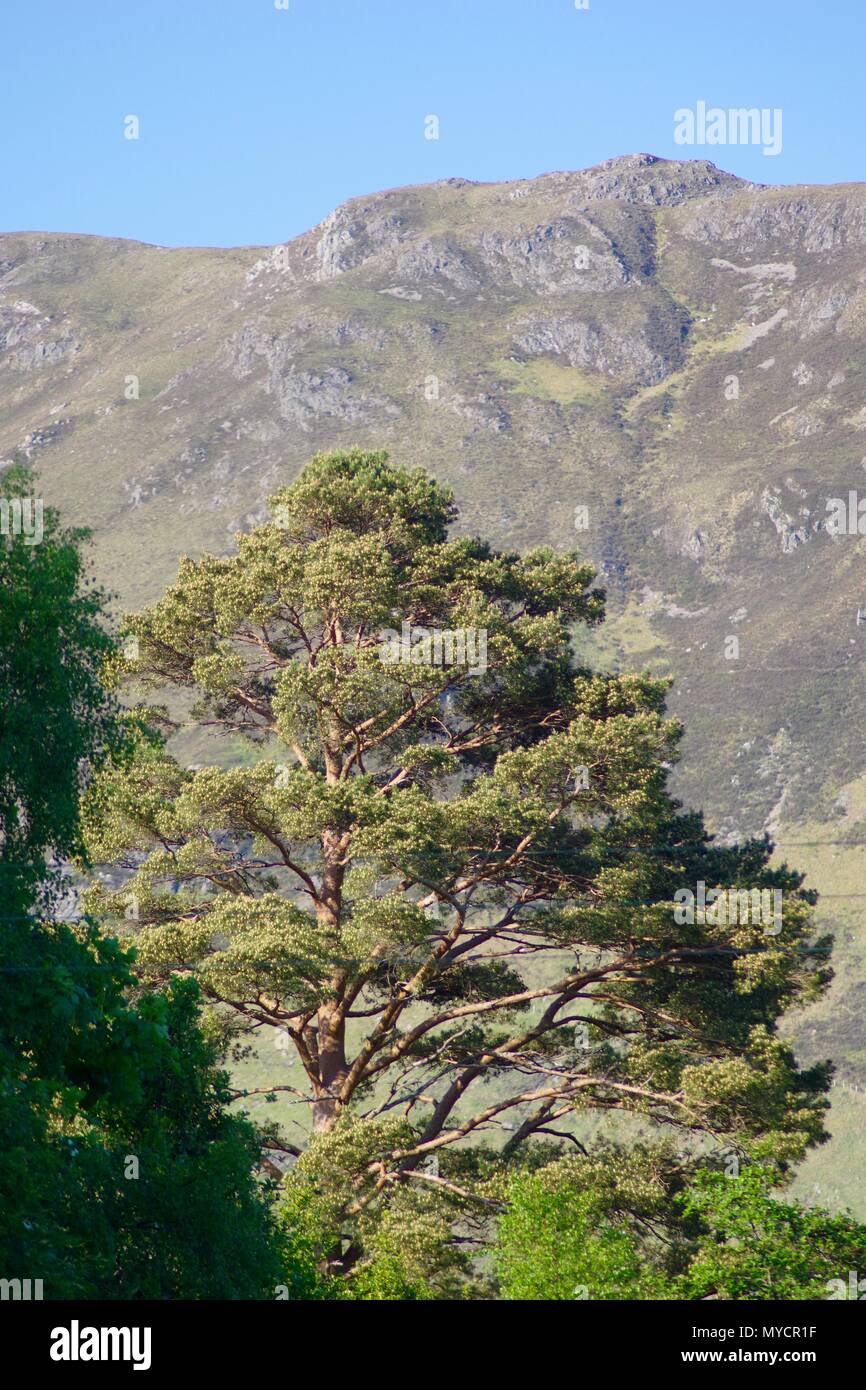 Basal Quartzite High Resolution Stock Photography and Images - Alamy