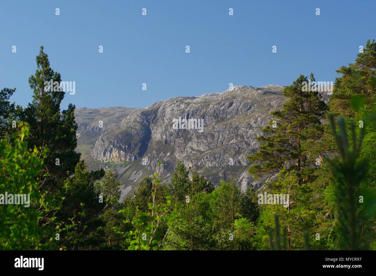 Basal quartzite hi-res stock photography and images - Alamy