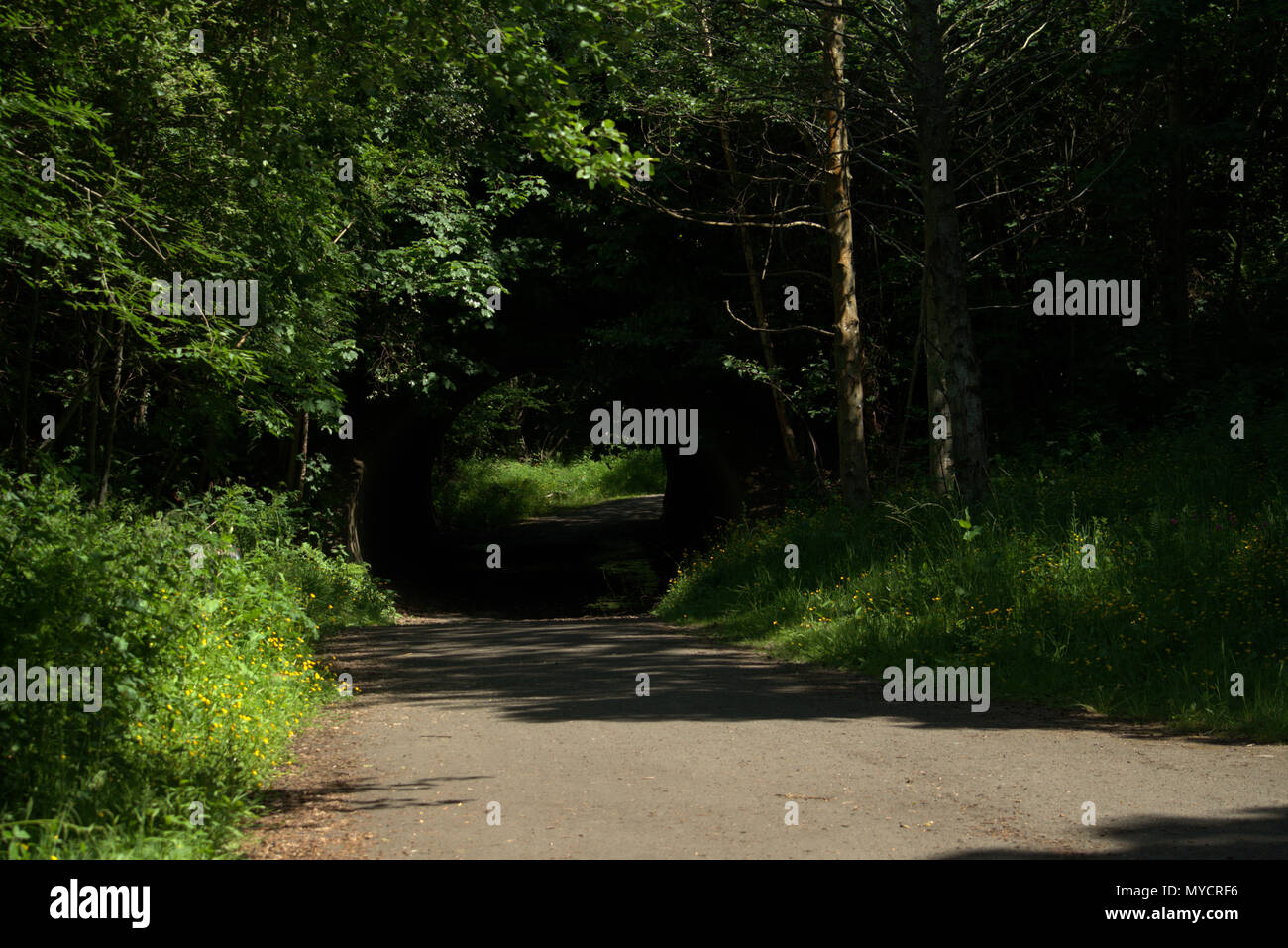 Culvert underpass hi-res stock photography and images - Alamy