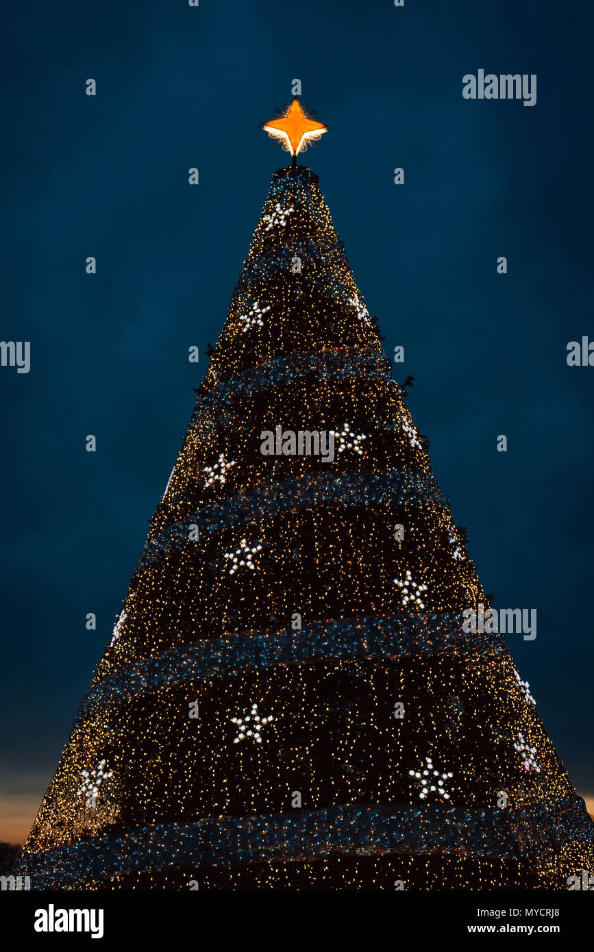 Baltimore christmas tree hi-res stock photography and images - Alamy