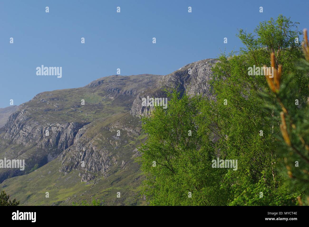 Basal quartzite hi-res stock photography and images - Alamy