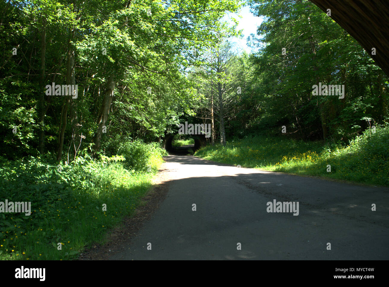 Culvert underpass hi-res stock photography and images - Alamy