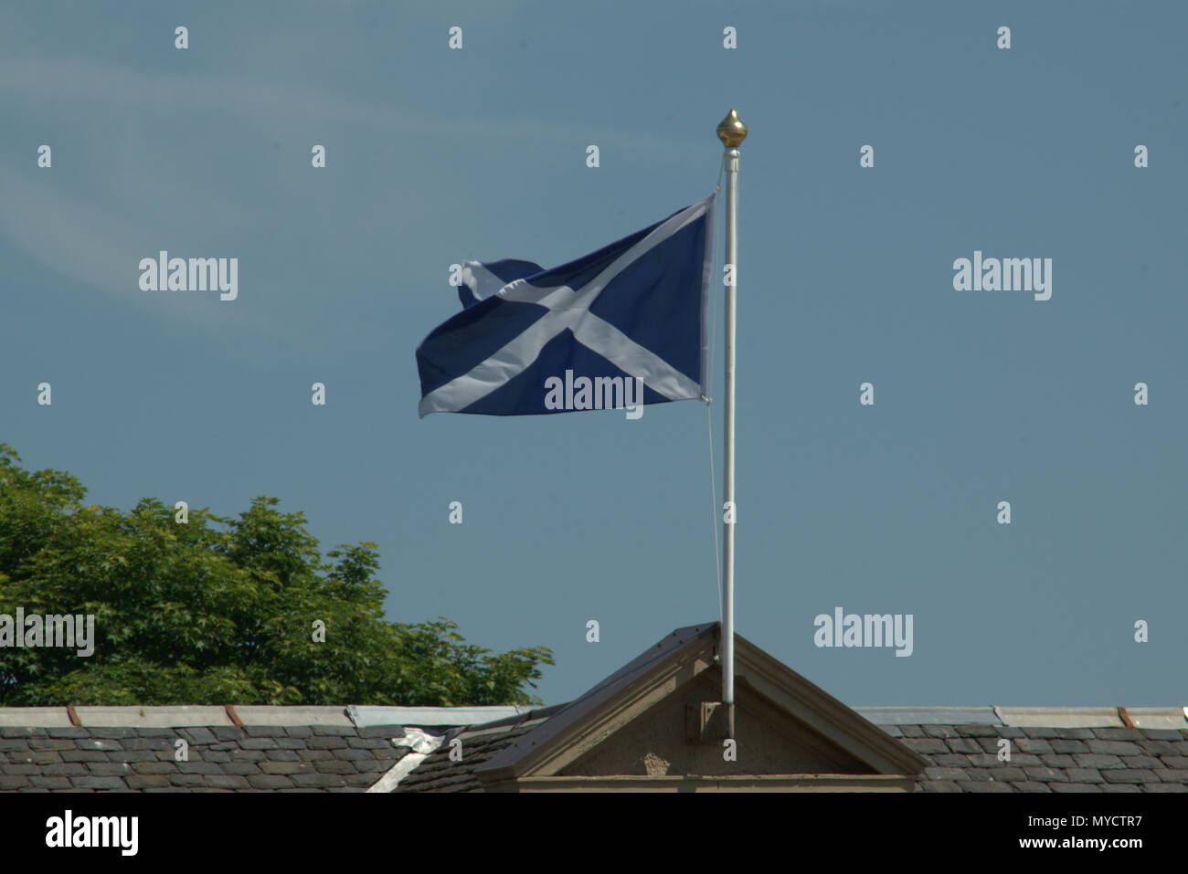 Scottish flag, saltire or St. Andrew's cross Stock Photo - Alamy