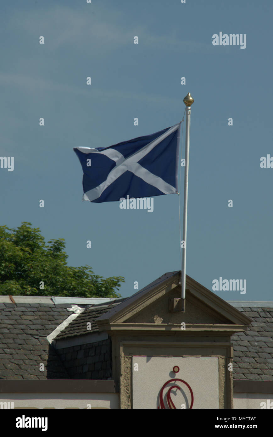 Scottish flag, saltire or St. Andrew's cross Stock Photo - Alamy