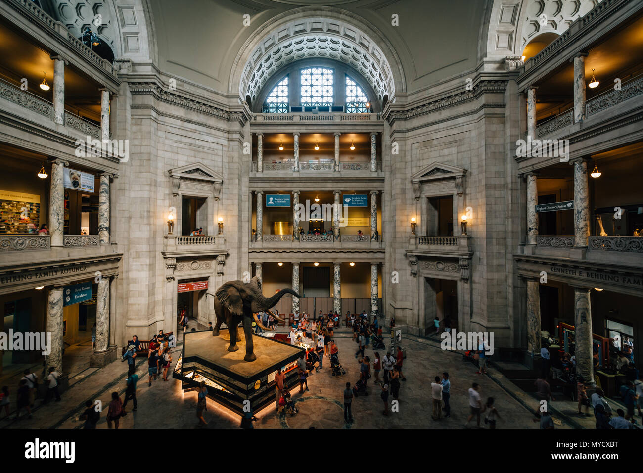 The interior of the Smithsonian National Museum of Natural History in ...