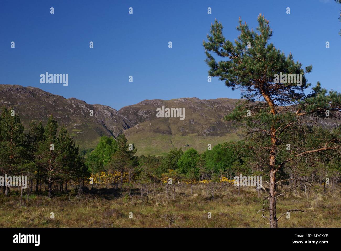 Basal quartzite hi-res stock photography and images - Alamy