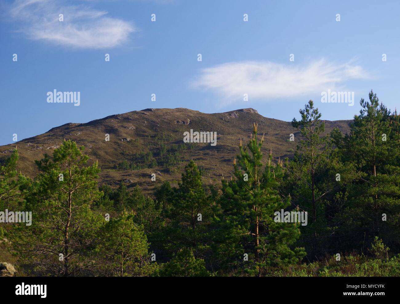 Basal Quartzite High Resolution Stock Photography and Images - Alamy