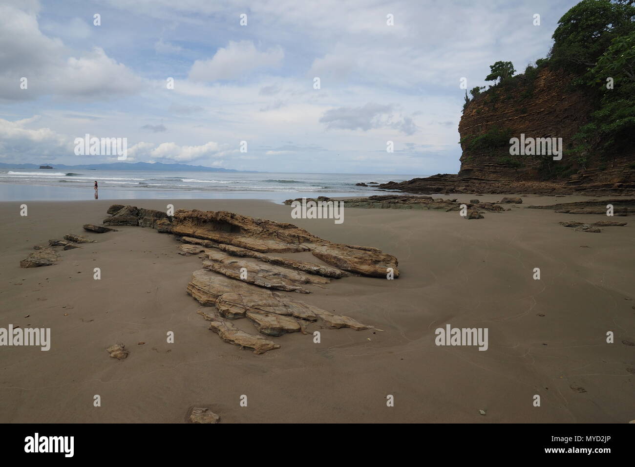 El coco hi-res stock photography and images - Alamy