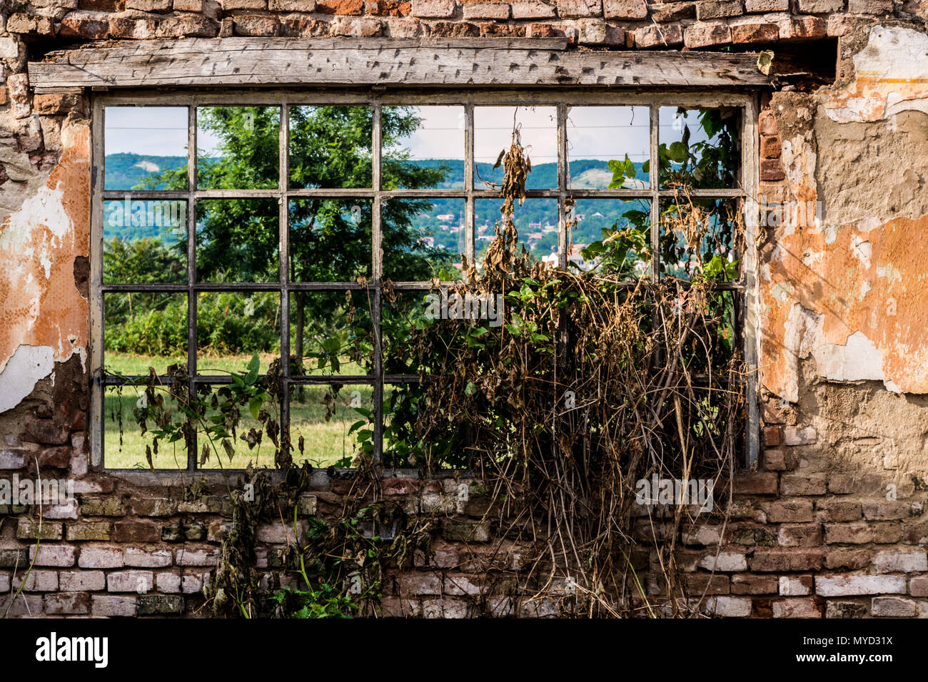 Abstract ruin windows surrounded with grass and old wall bricks ...