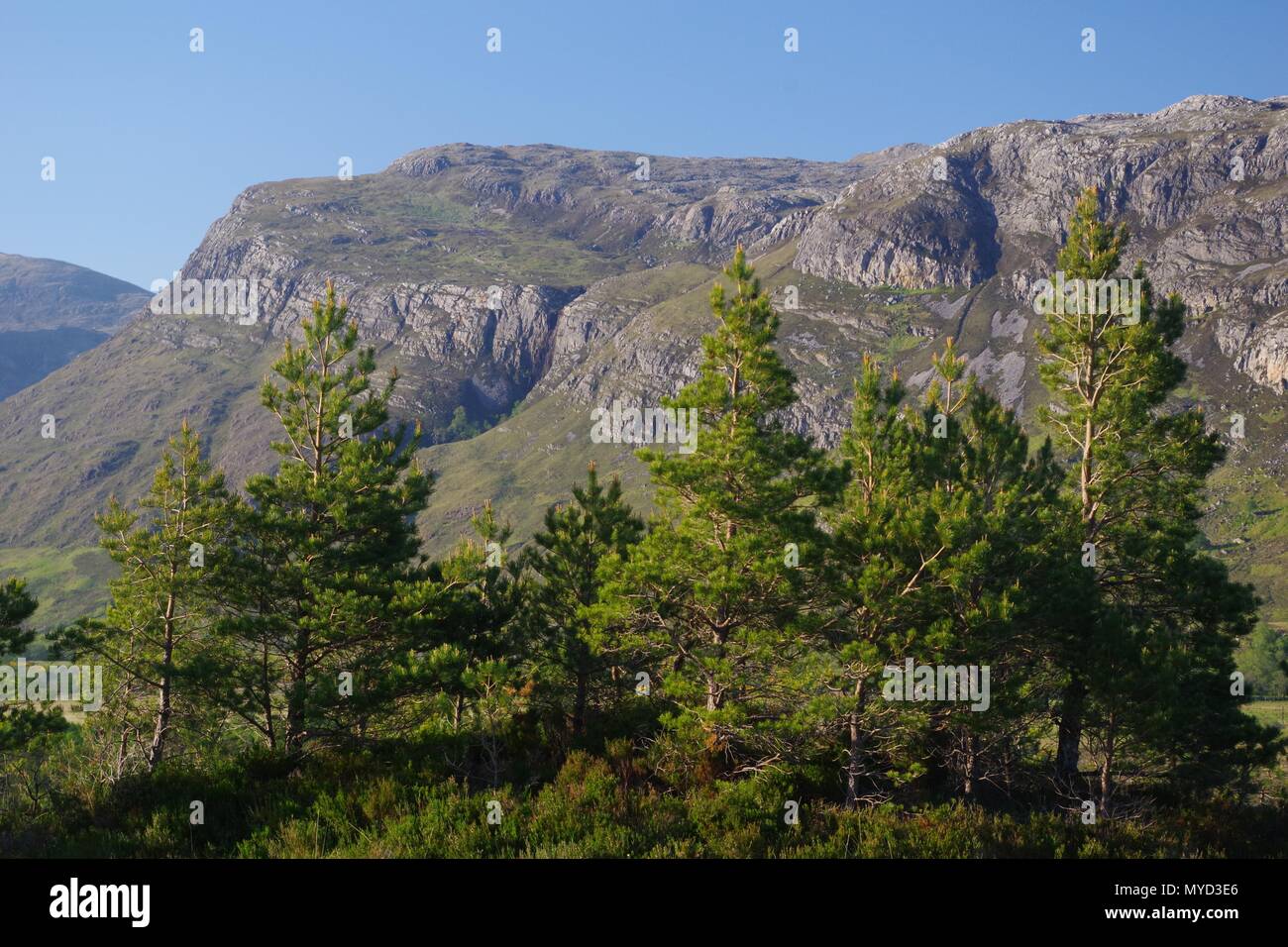 Basal quartzite hi-res stock photography and images - Alamy