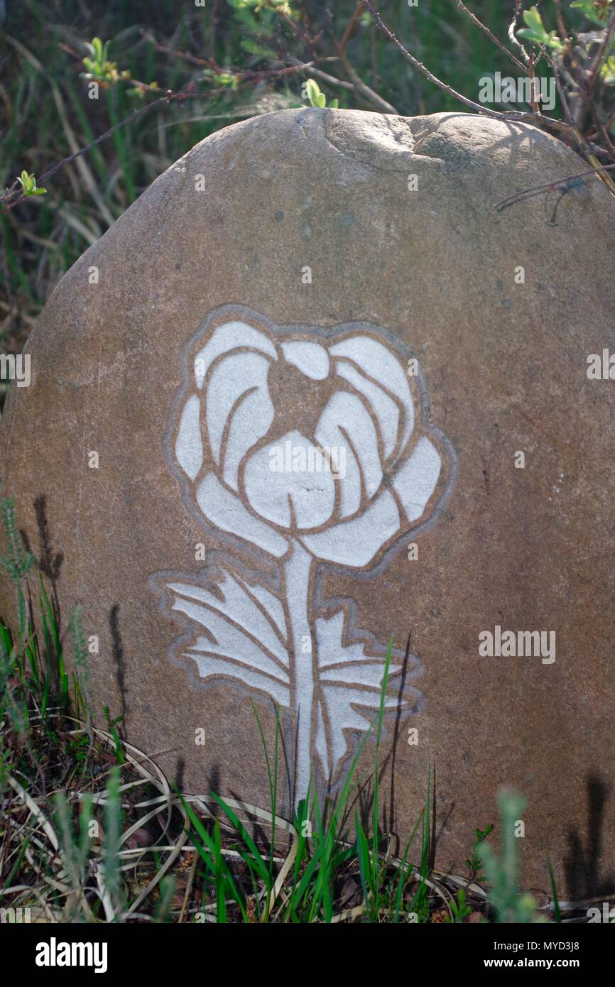 Painted Flower on a Boulder. Trail Marker Symbol. Beinn Eighe NNR ...