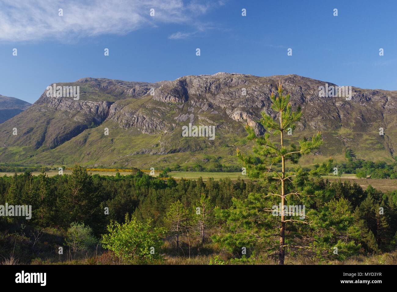 Basal quartzite hi-res stock photography and images - Alamy