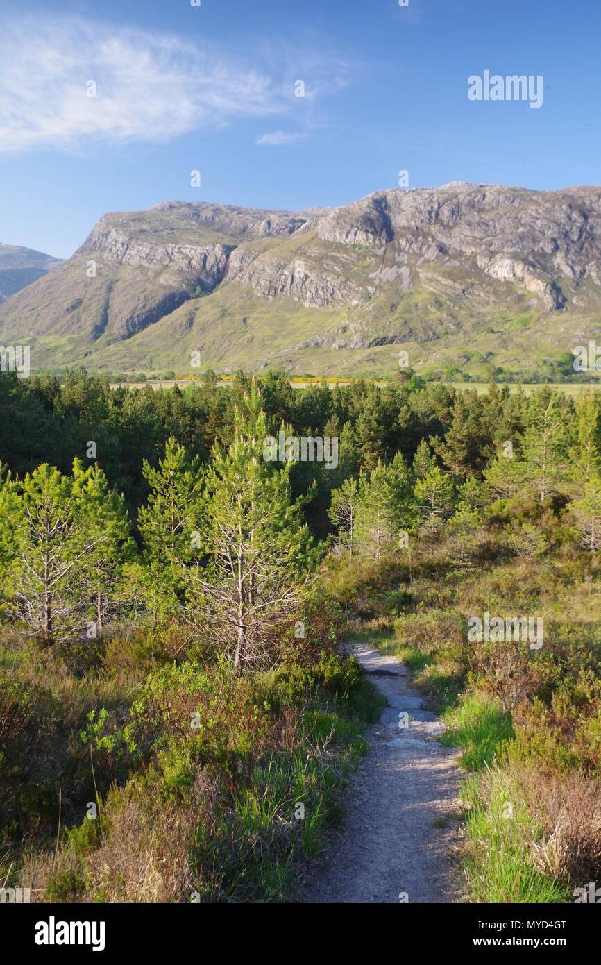 Mountain Ridge of Beinn a'Mhuinidh, Basal Quartzite Geology beyond a ...