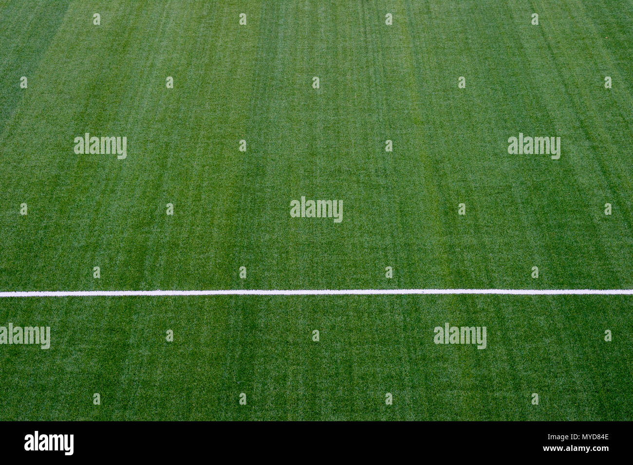 beautiful pattern of fresh green grass for football sport, football ...