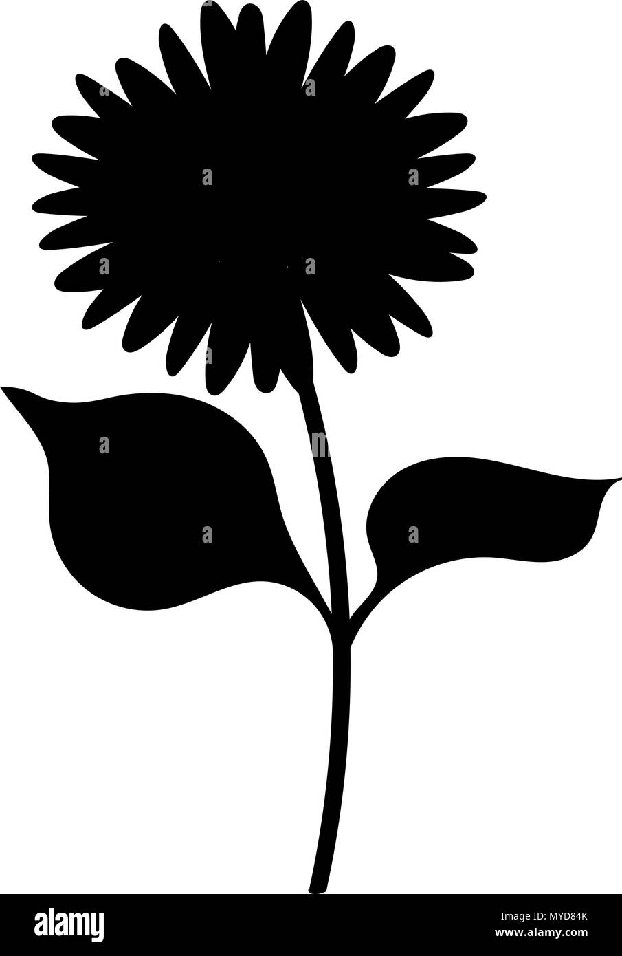Leaves sunflower vector Black and White Stock Photos & Images - Alamy