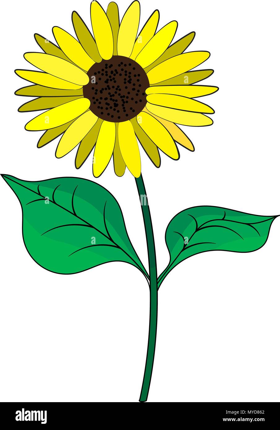 Yellow sunflower green leaves Stock Vector Images - Alamy