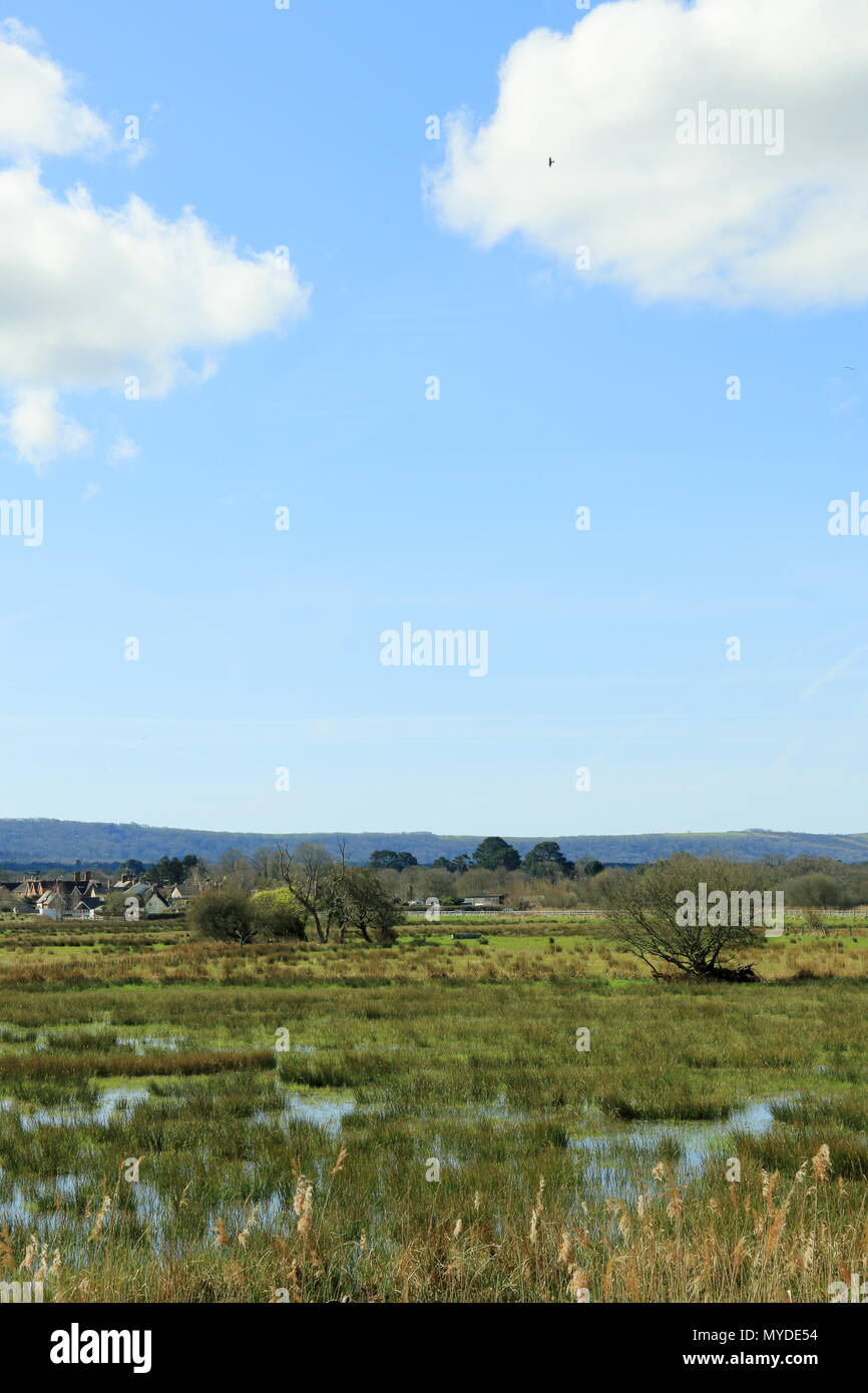 Near wareham hi-res stock photography and images - Alamy